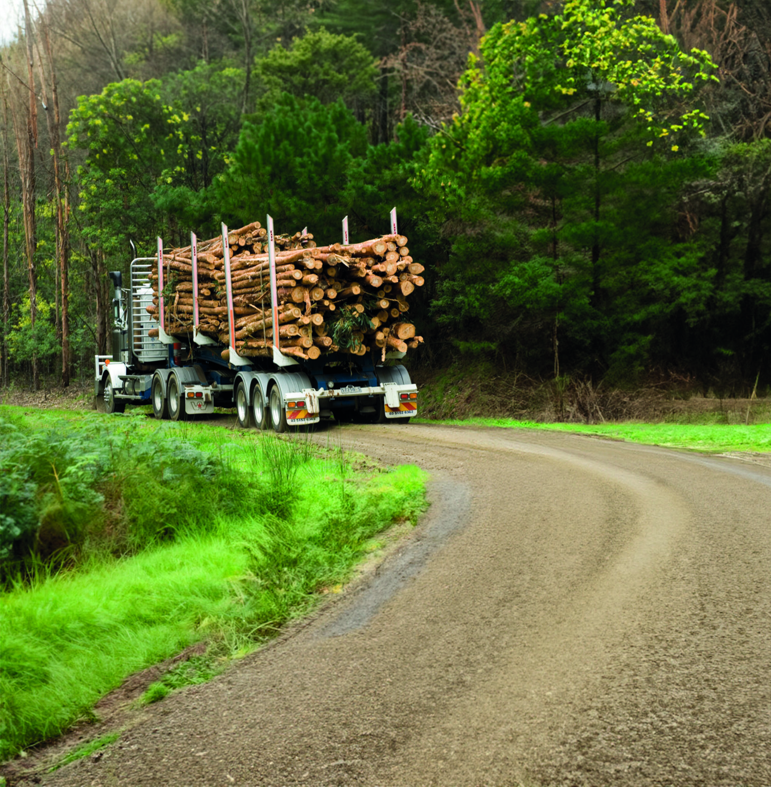 Plantation Solutions - Midway